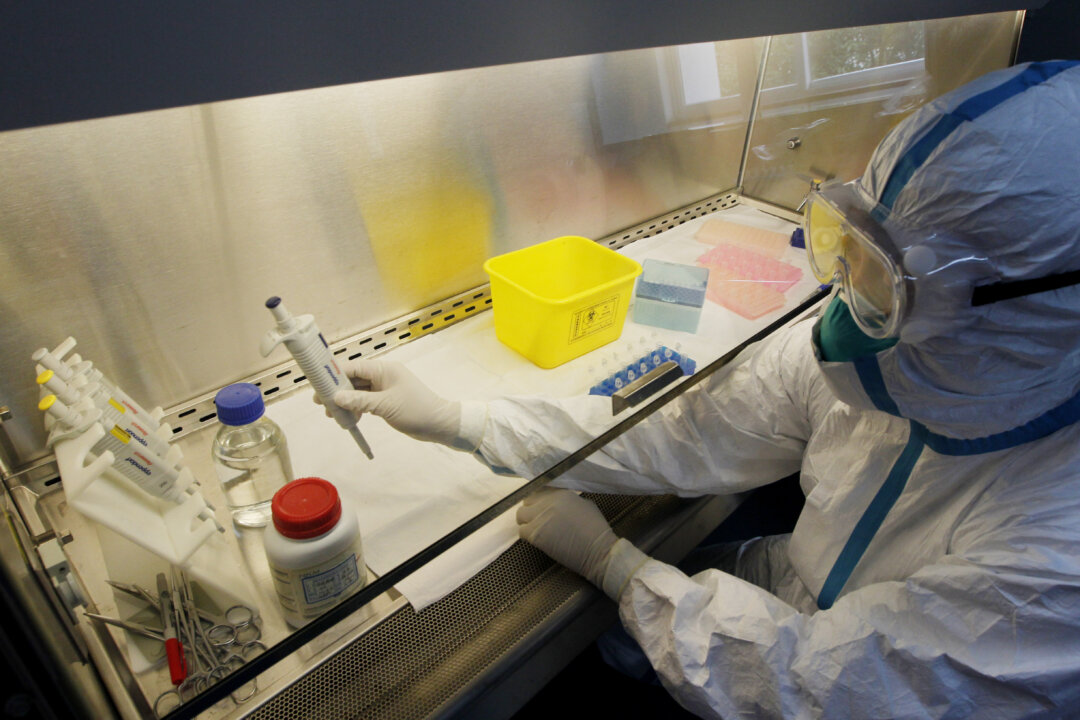 China Confirms 2 Anthrax Cases, Including 1 Death | The Epoch Times