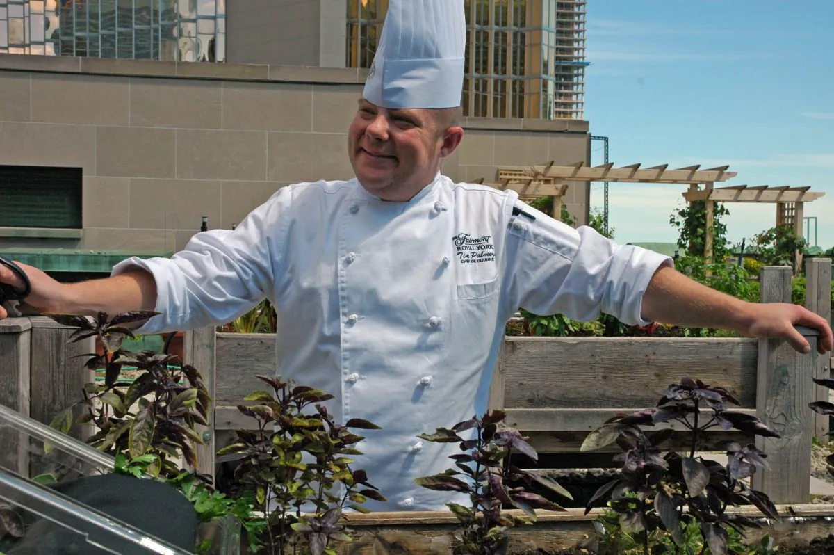 Locavore Toronto-Style