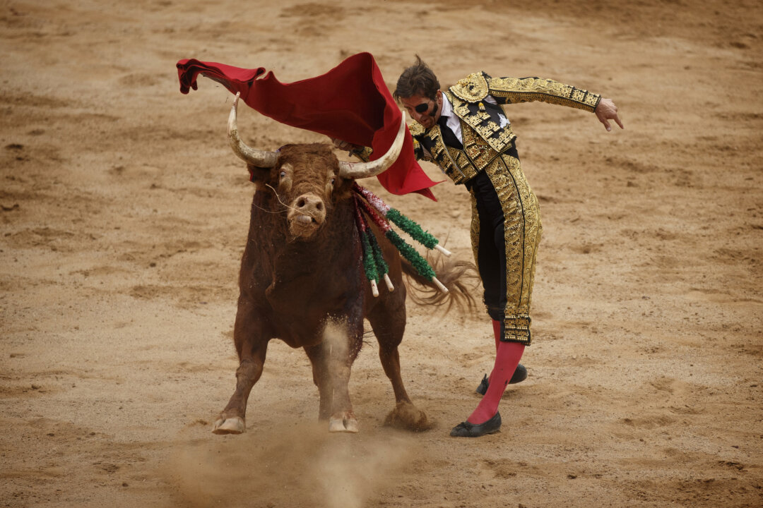 24 Photos of Bulls Rampaging Through the Streets of Spain | The Epoch Times