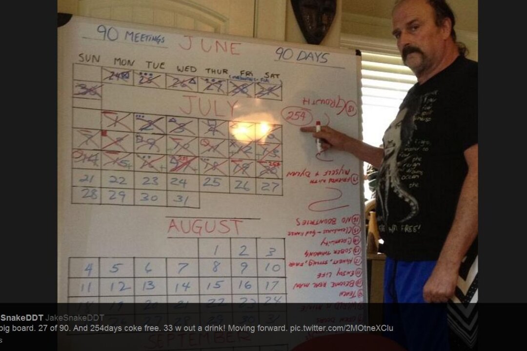 Jake 'The Snake' Roberts is 'Moving Forward' With Sobriety | The Epoch ...