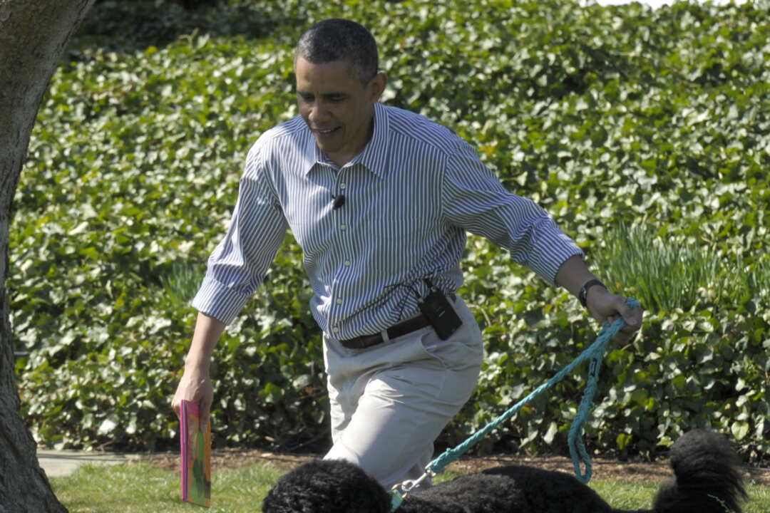 10 Presidential Pets, Including New Obama Puppy, Sunny | The Epoch Times
