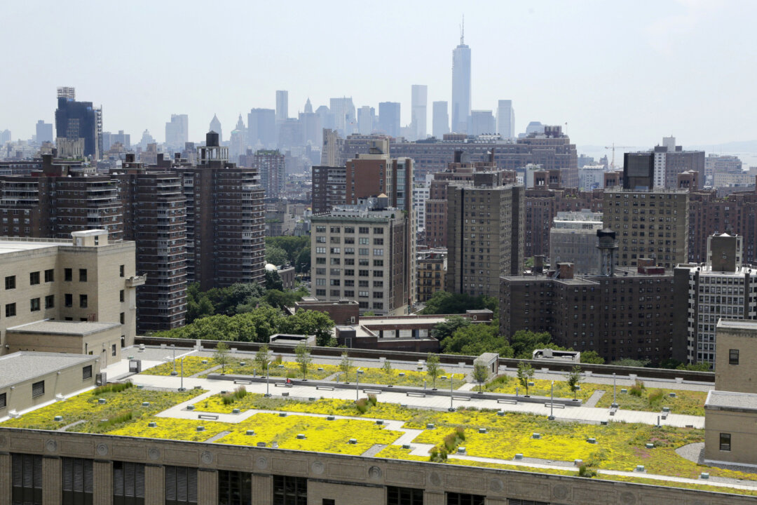 Midtown East Rezoning Enters Final Phase Amid Objections | The Epoch Times