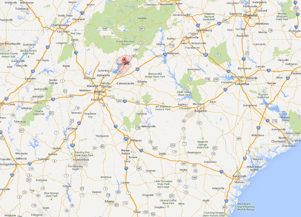 Georgia: 3 Hall County Schools on Lockdown Over Bear | The Epoch Times