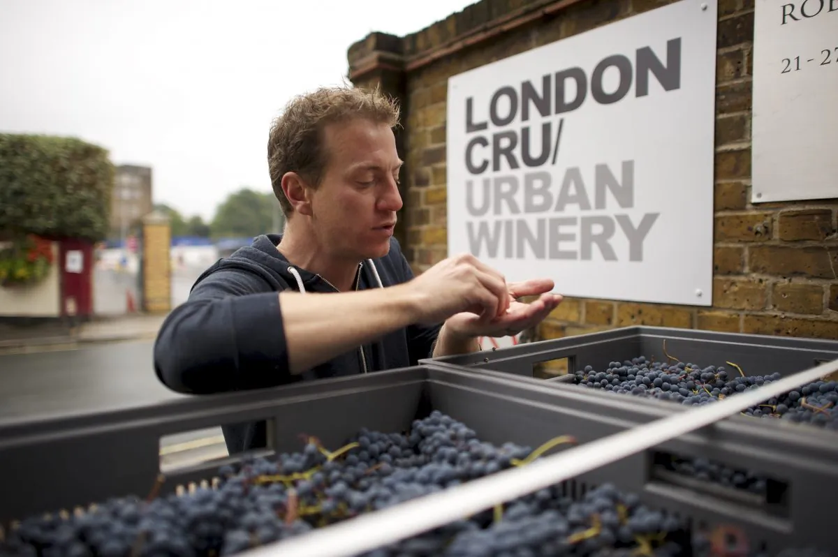 London Cru Brings Winemaking to The Capital