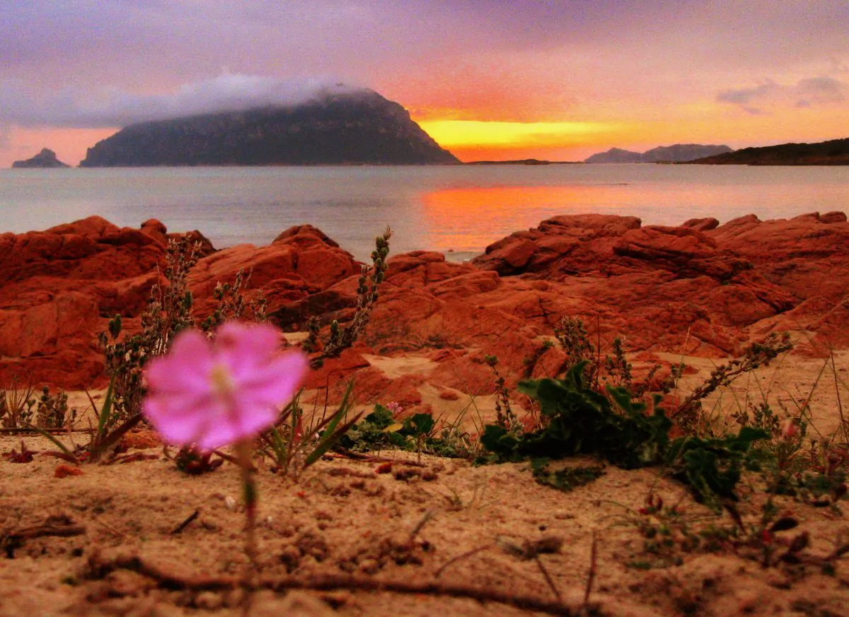 Sardinia, Italy: Island of Powerful Energy and Irresistible Charm