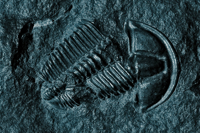 The Greatest Mass Extinction Ever May Have Been Kicked Off by Microbes ...