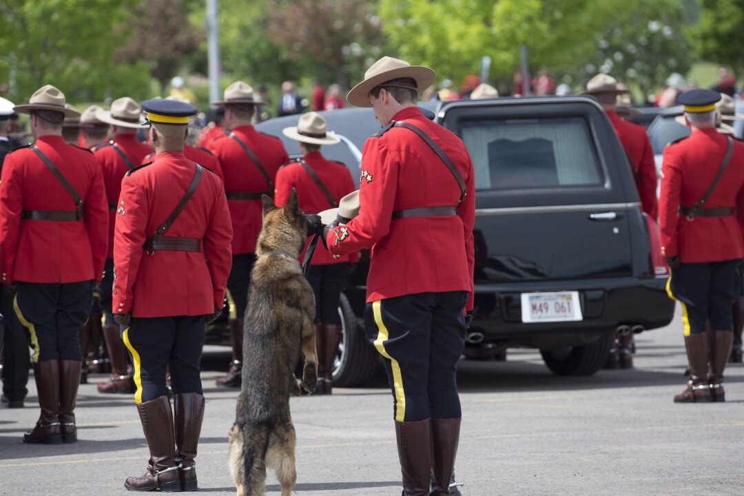 Danny the Dog Will Return to Work Following Partner’s Death: RCMP | The ...