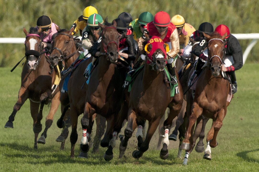 Breeders' Stakes 2014 Date and Time: When, Where is Canadian Triple ...