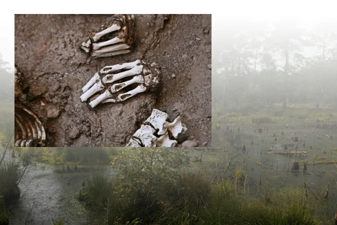 Why Did Ancient Scots Prepare ‘Frankenstein’ Mummies?