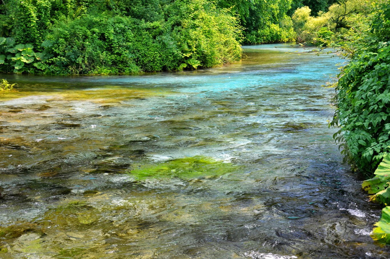 Syri i Kalter - The Blue Eye Spring in Albania