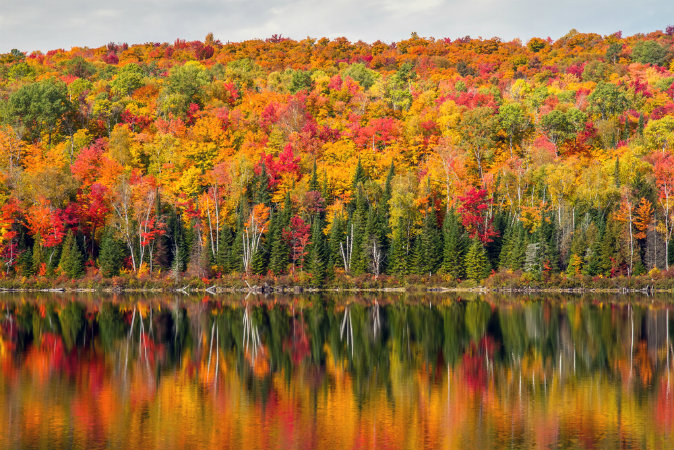 Fall Colors in Quebec: View the Changing Leaves (Video) | The Epoch Times