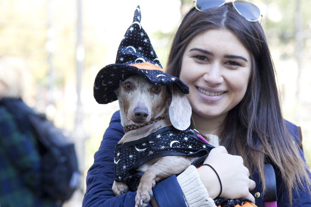 Halloween in Australia: 21 Percent Ready to Party, 79 Percent Hiding ...