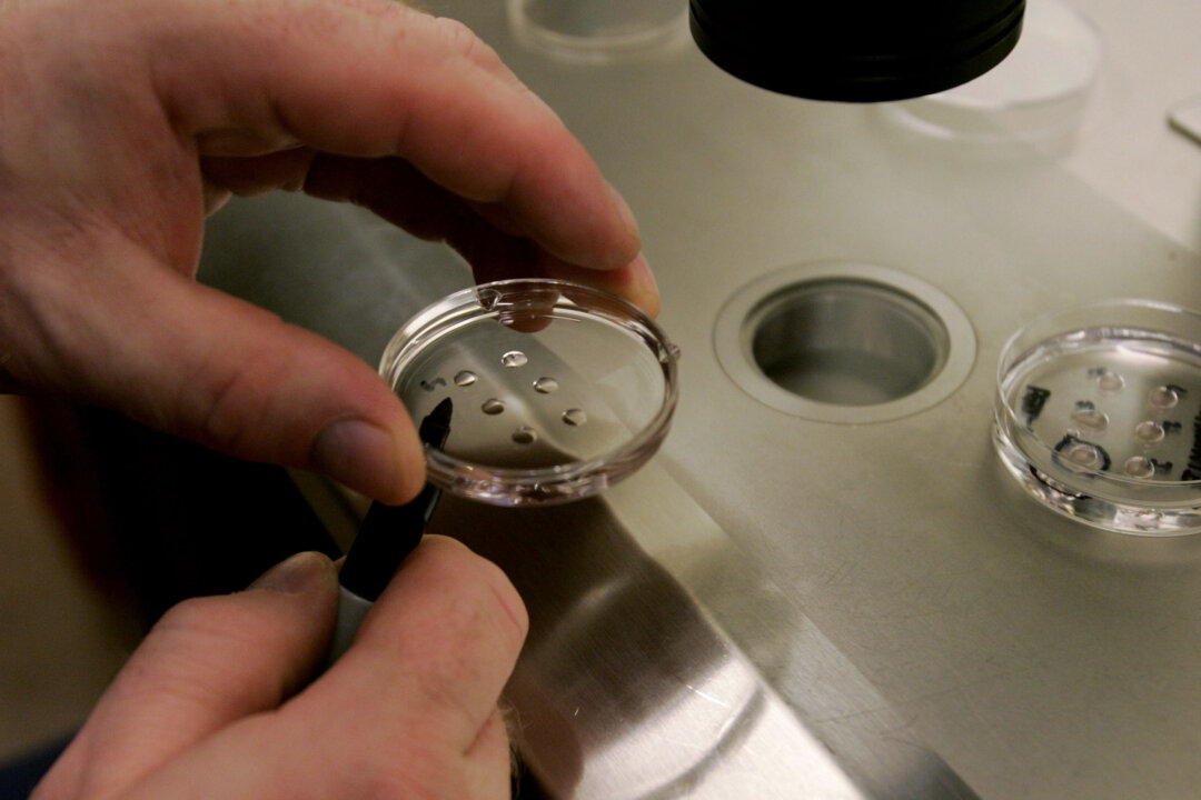 Couple Sue Fertility Clinic for Allegedly Disposing of Their Embryos ...