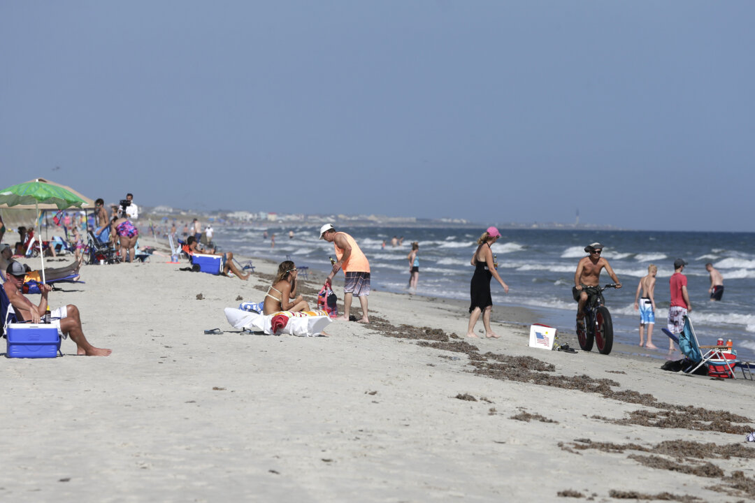 Teen Felt Something Bump Into His Leg Before Shark Attack | The Epoch Times