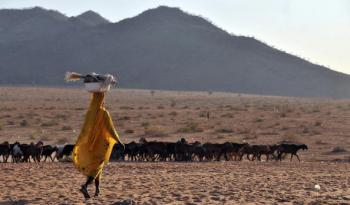 Eco-Cooking Eases Climate Change in the Third World | The Epoch Times