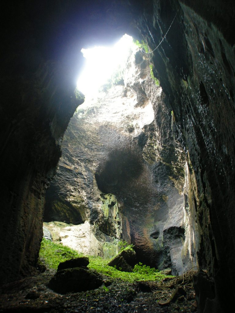 Nature and Nurture in Sabah, Malaysia