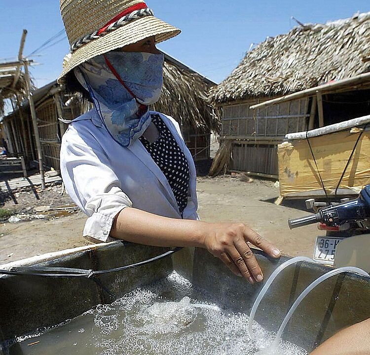 Anti-Scampi Day Draws Attention to Shrimp Industry Problems | The Epoch ...