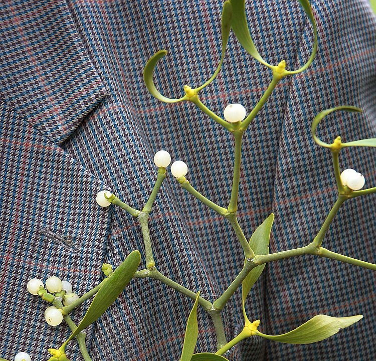 Smithsonian Reveals Mistletoe Lore and Facts | The Epoch Times