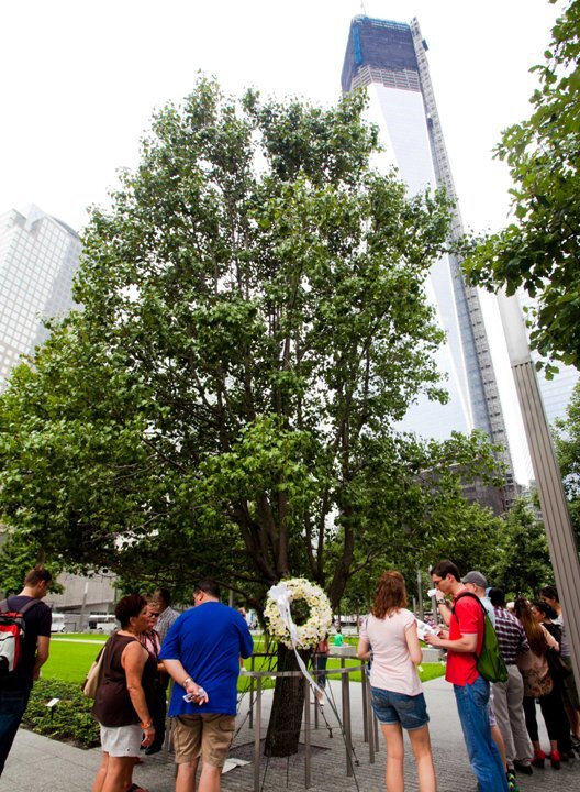 Tree Gives Hope During 9/11 Recovery and Beyond | The Epoch Times