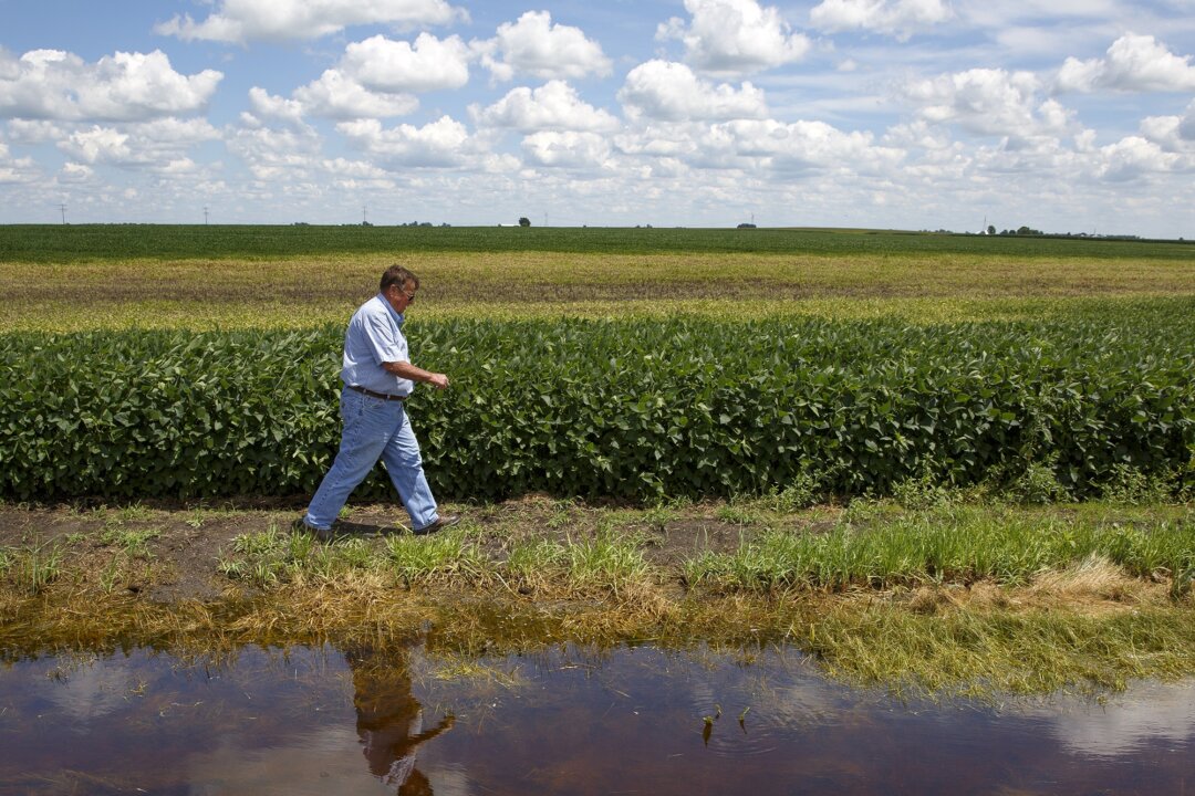 Some Midwest Farmers' Crops Falter in Record Rains | The Epoch Times