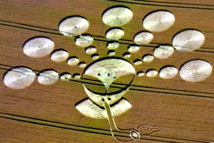 Crop Circles: Some Unusual New Shapes (Photos)