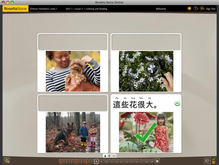 Rosetta Stone a Hit for Mandarin Language Learning