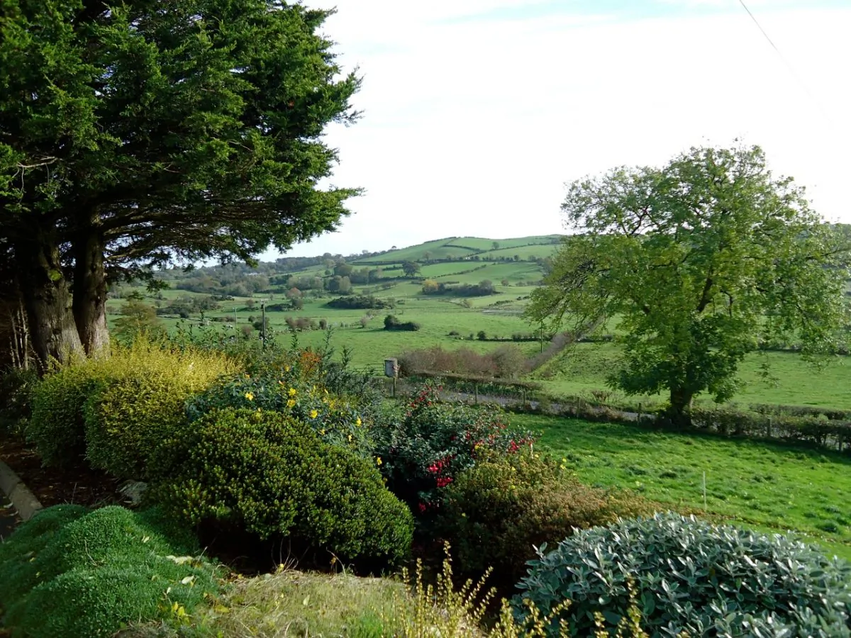 Exploring Northern Ireland’s Flourishing Foodie Culture