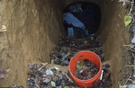 Homeless Man Arrested for Digging Himself a Cave in a Public Park ...