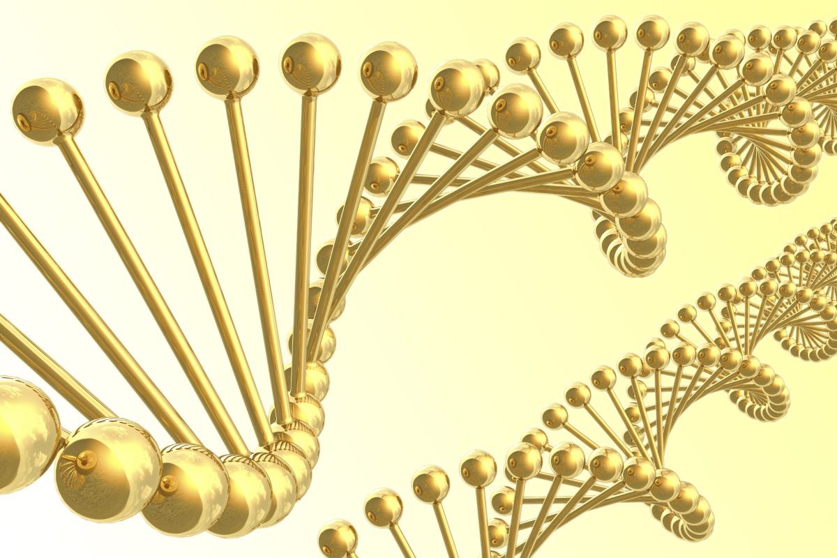 Sticky Strands of DNA Assemble Gold Nanoparticles