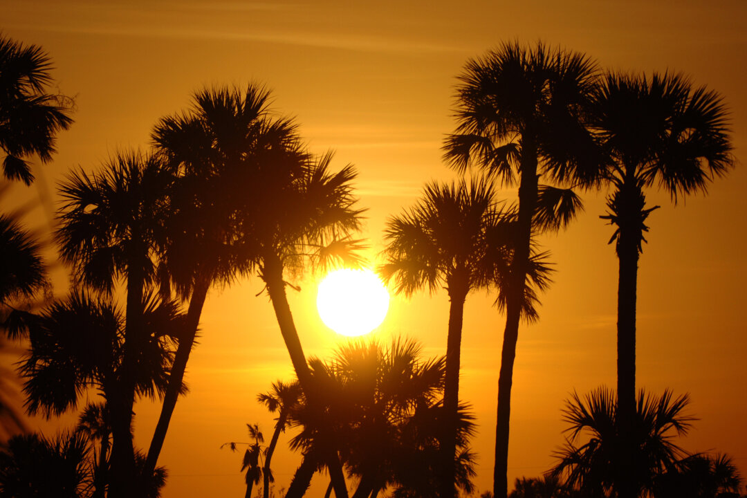 NASA: 2015 Was Hottest Year in Recorded History | The Epoch Times