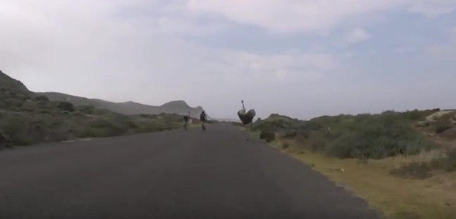 Video: Ostrich Chases Bicyclists in South Africa | The Epoch Times