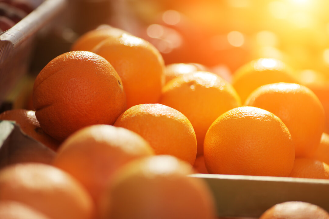 Scurvy Cases May Rise in Canada, Experts Warn | The Epoch Times