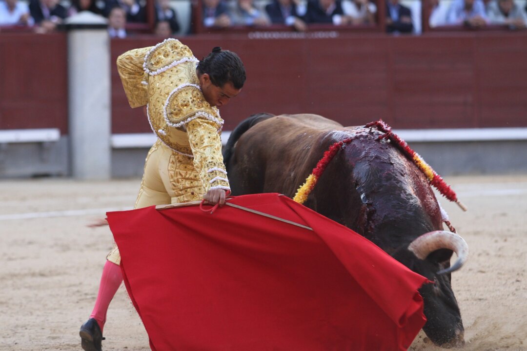 ‘Hurry Up, I’m Dying’: Final Words of Fatally Gored Matador Are ...