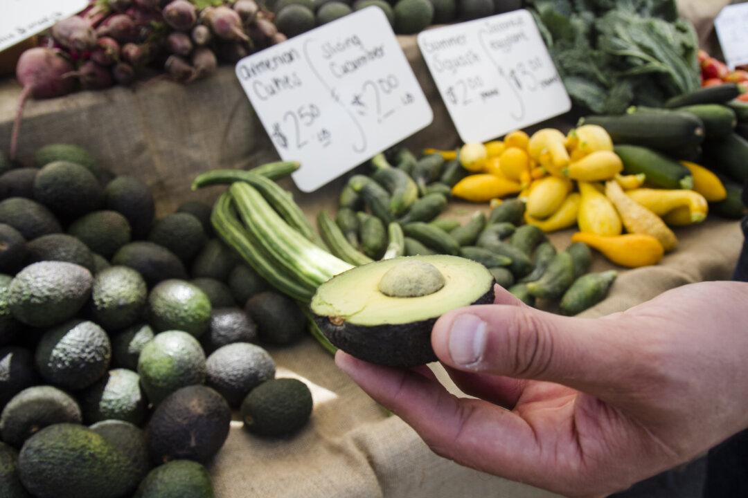 Social Media Users Blast Report America Would Run Out of Avocados If ...
