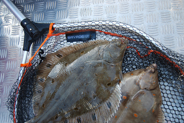 Man Almost Dies After Fish Jumps Down His Throat