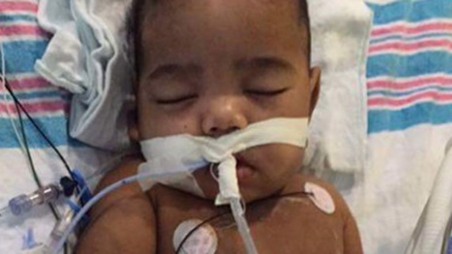 Father of 2-Year-Old Denied Kidney Transplant Speaks Out | The Epoch Times