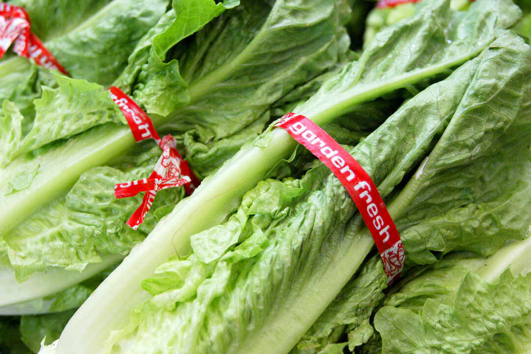 E. Coli Outbreak Reported in 16 US States, Caused by a Common Food Item ...