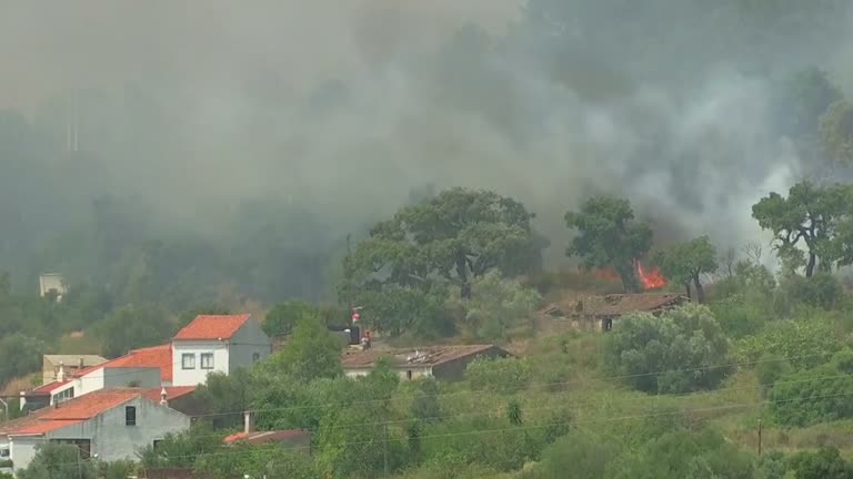 1,000 Firefighters Mobilized as Wildfire Resurges in Portugal | The ...