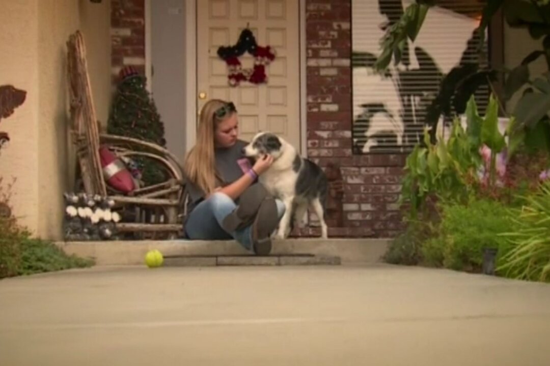 Teacher Violated Student’s Freedom to Wear NRA Shirt | The Epoch Times