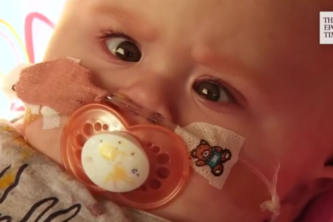 UK Baby Born With Heart Outside Body Allowed to Visit Home | The Epoch ...