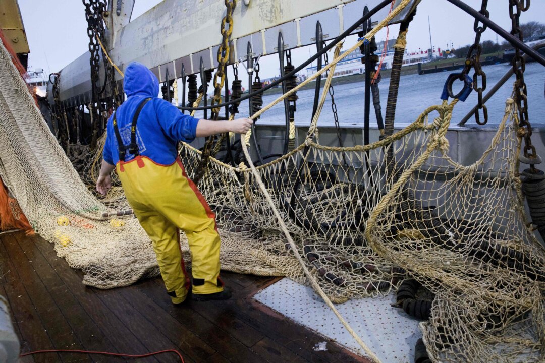 Electrical Fishing Causing Damage to Major Marine Sanctuary, Groups ...