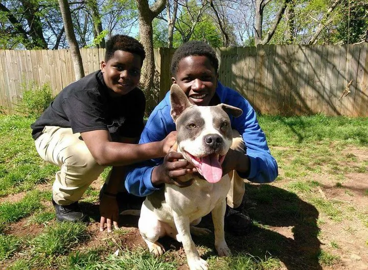 Woman Pairs Kids and Rescue Dogs to Better Community