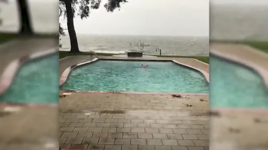Video: Florida Man Takes a Swim in Pool Before Hurricane Michael | The ...