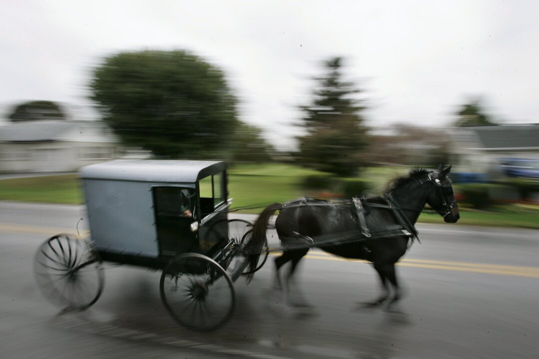 Video: 250 Amish Men Lift and Carry Entire Barn 150 Feet | The Epoch Times