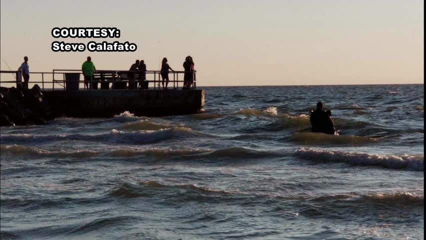 Florida Mom Dies While Trying to Save Children From Rip Current | The ...