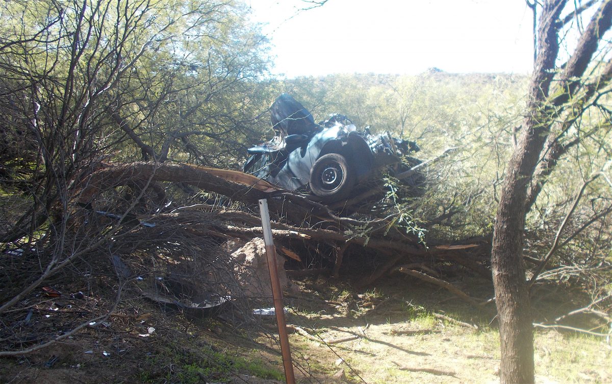 Woman Survives 6 Days in Desert After Car Falls 50 Feet Into Tree