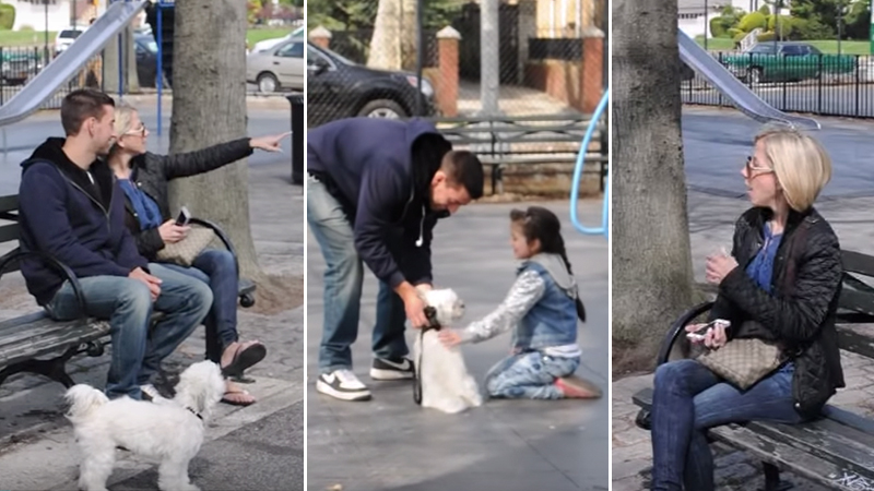 How Easy Is It to Lure Kids Away? These Strangers Only Needed One Cute ...