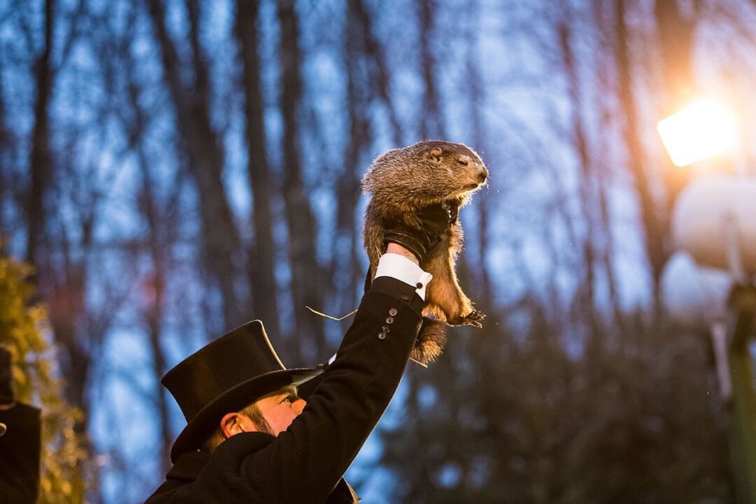 Early Spring Predicted: America’s Famous Groundhog Doesn’t See His ...