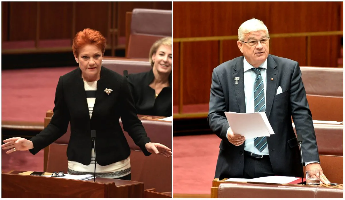 Hanson Savages Senator Over Physical Clash