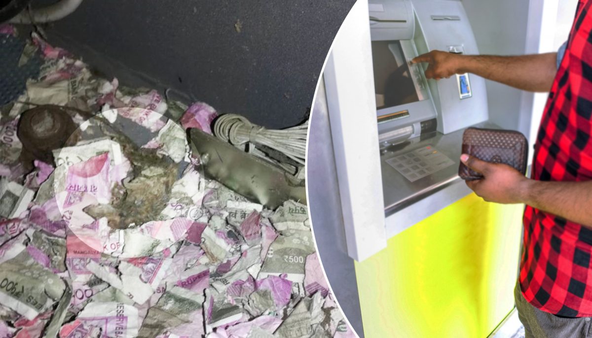 Rat Breaks Into Indian ATM and Dies After Consuming $18,000 Worth of ...